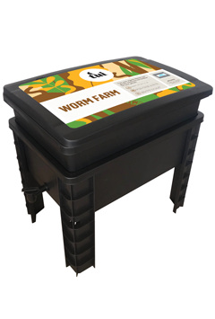 Why are the worms moving to the bottom layer of my worm farm?