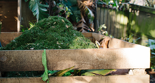 Tui Garden Products